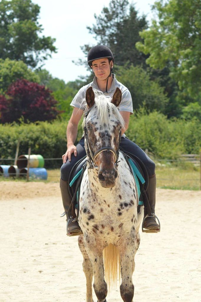 cheval-david - Les Maisons Familiales Rurales de la Charente
